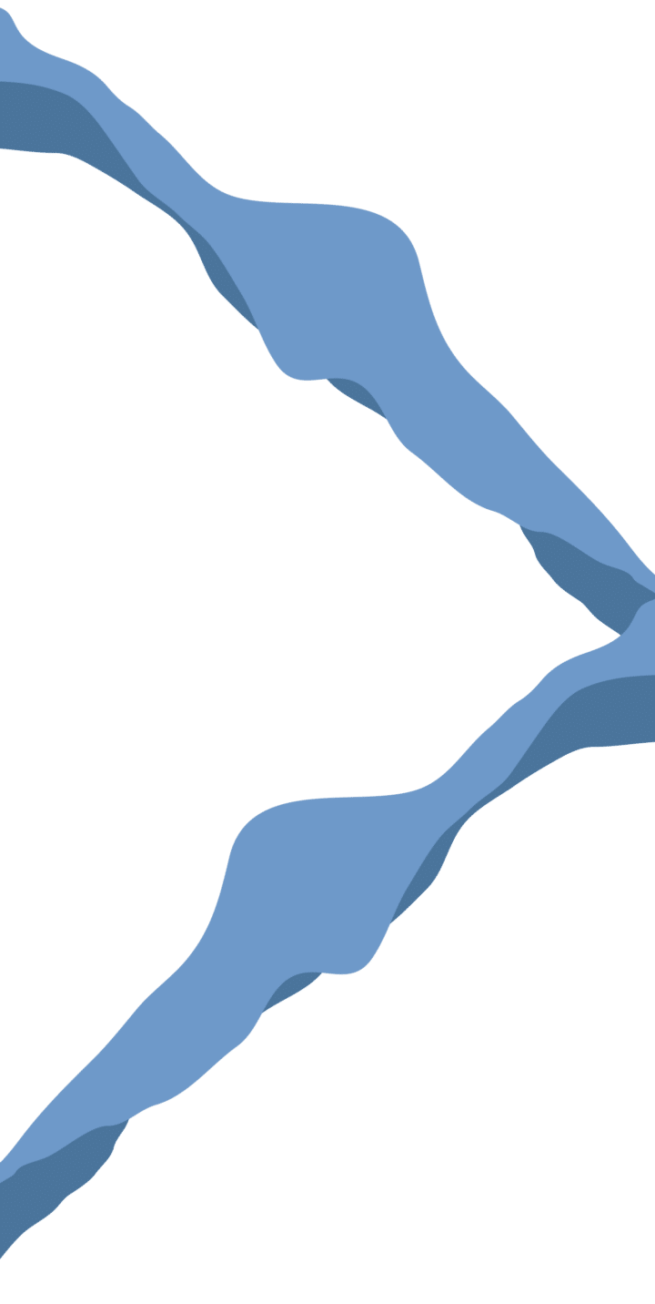 Workshops – Steadynamic