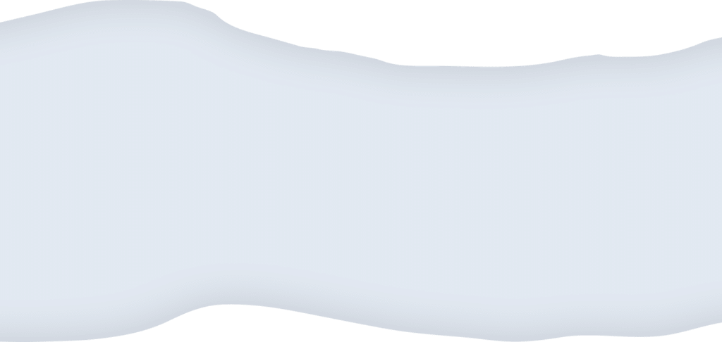 Our Services - Steadynamic