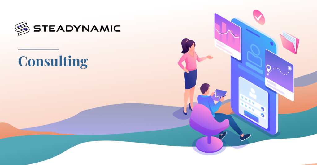 Consulting - Steadynamic