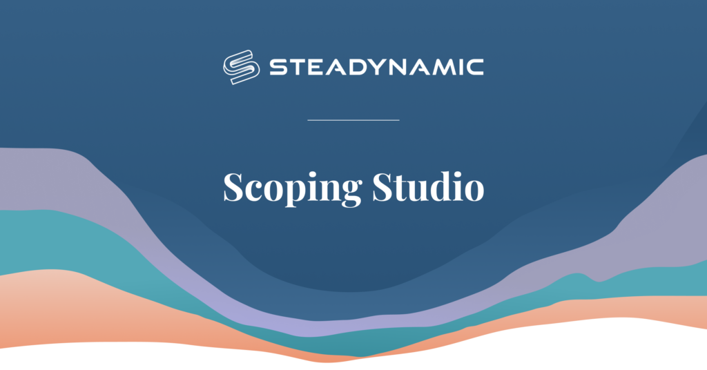 Scoping Studio Project Request - Changes to Software - Steadynamic